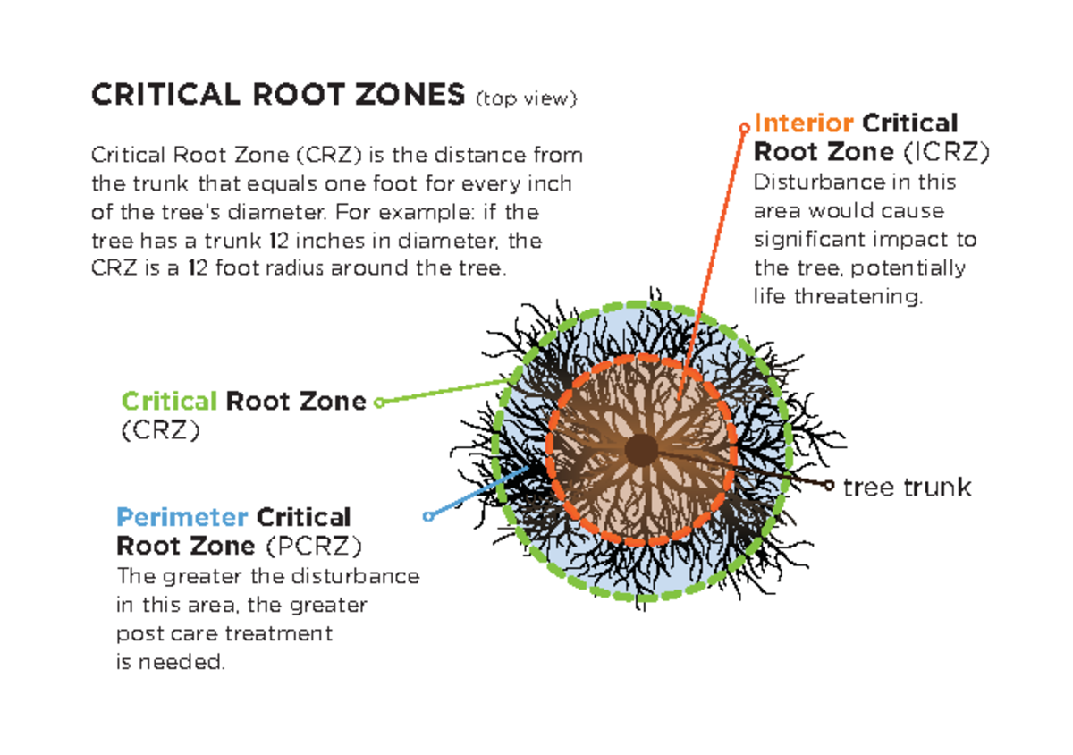 Critical Root Zone Diagrams (ICRZ & PCRZ Overview) - Studocu