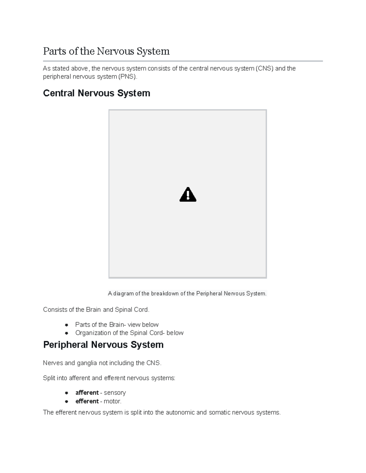 Nervous System Overview: Structure and Function - Studocu