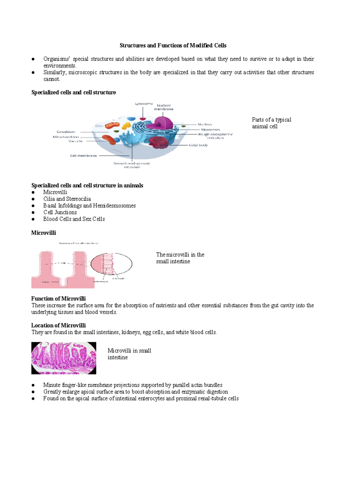 Biology 101: Structures & Functions of Specialized Cells - Studocu