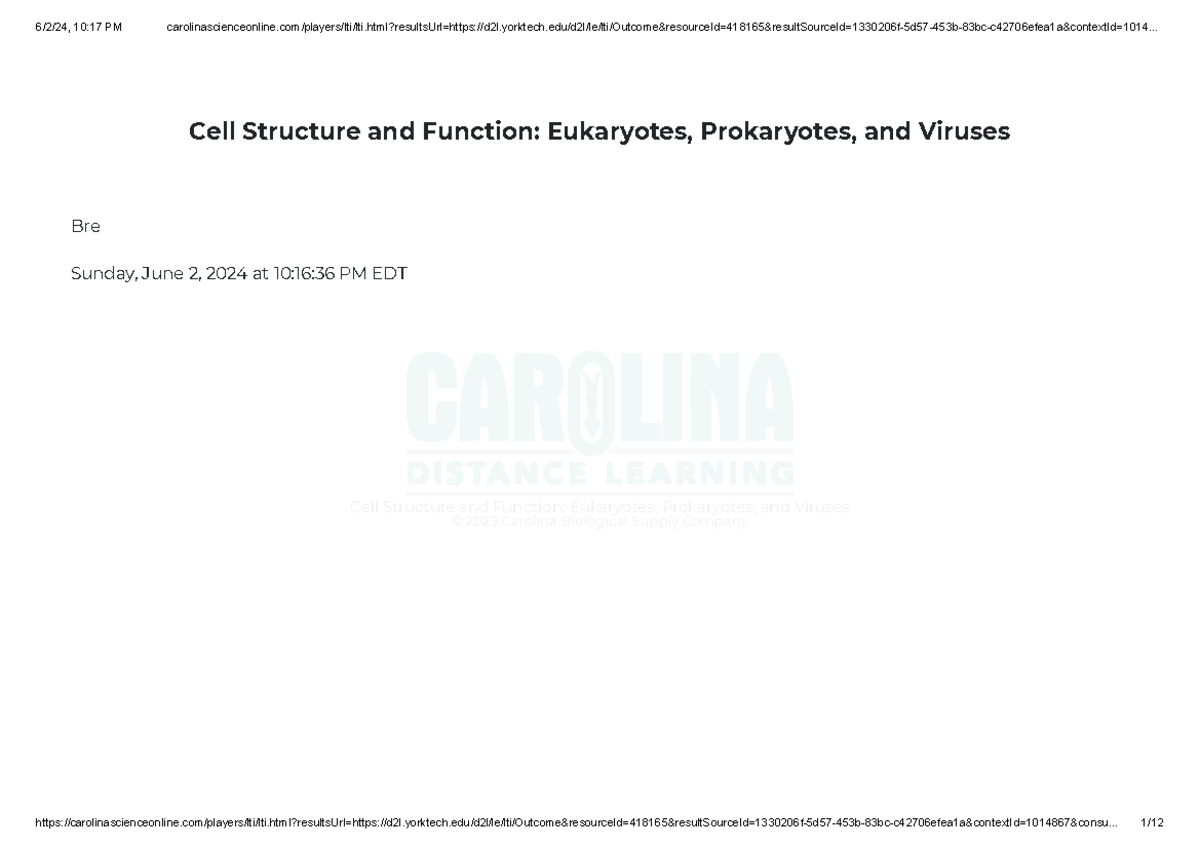 Lab 4: Eukaryotes, Prokaryotes, and Viruses Cell Structure Study - Studocu