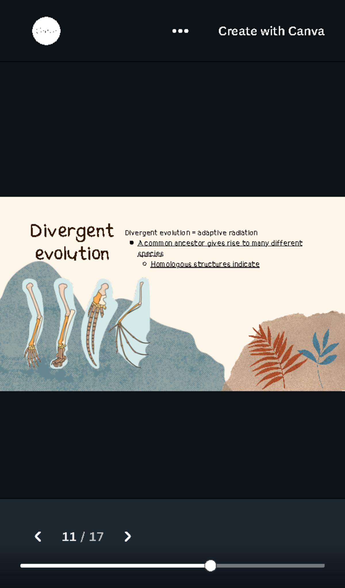 Divergent Evolution: Understanding Adaptive Radiation and Homologous Structures - Divergent ...
