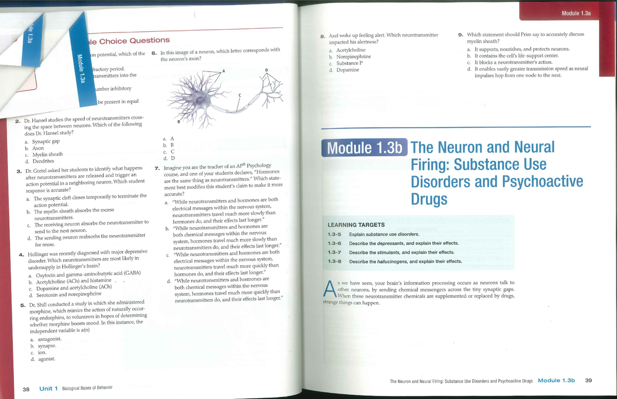 Module 1.3b: The Neuron and Neural Firing - Substance Use Disorders ...
