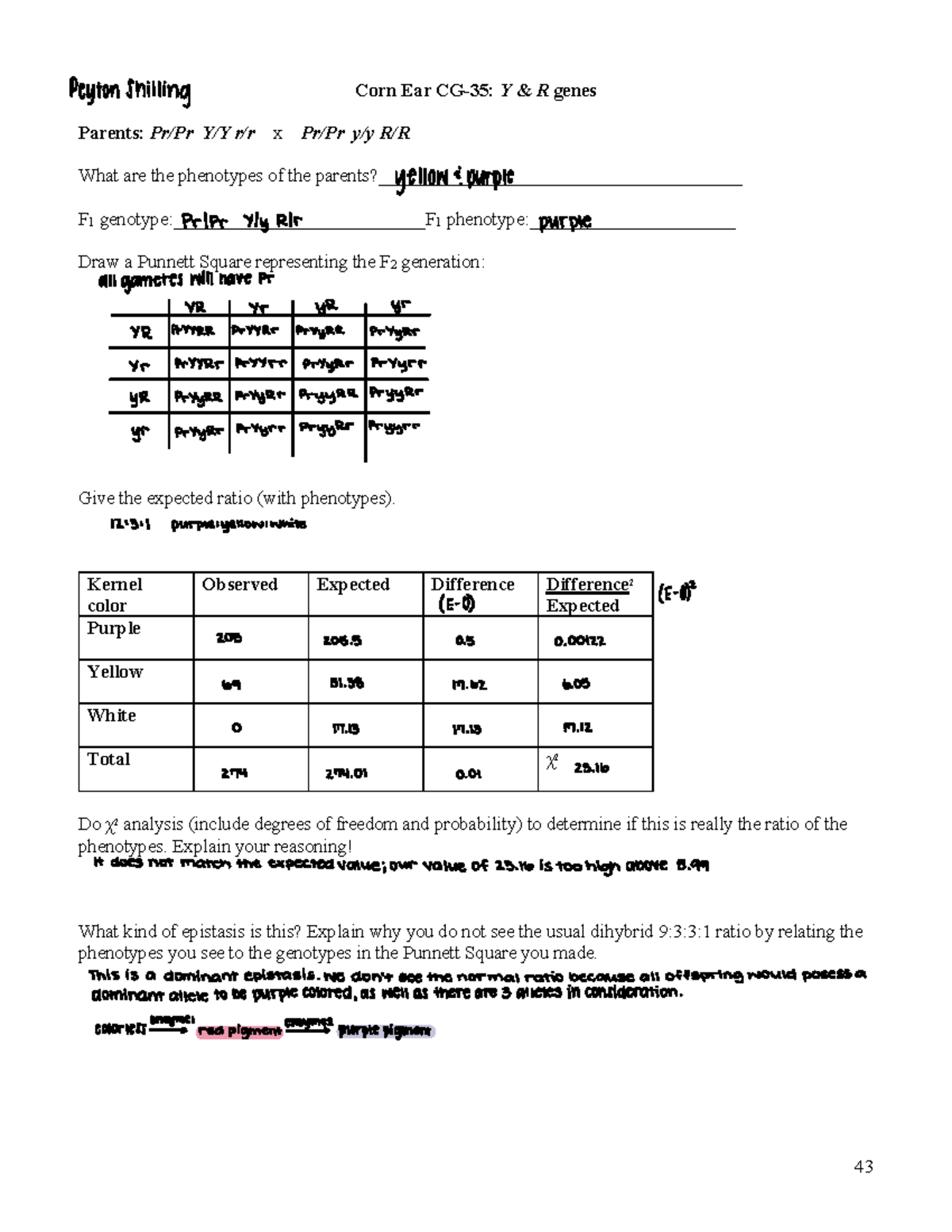 Genetics LAB Manual 2024: Dihybrid Cross Analysis & Epistasis - Studocu