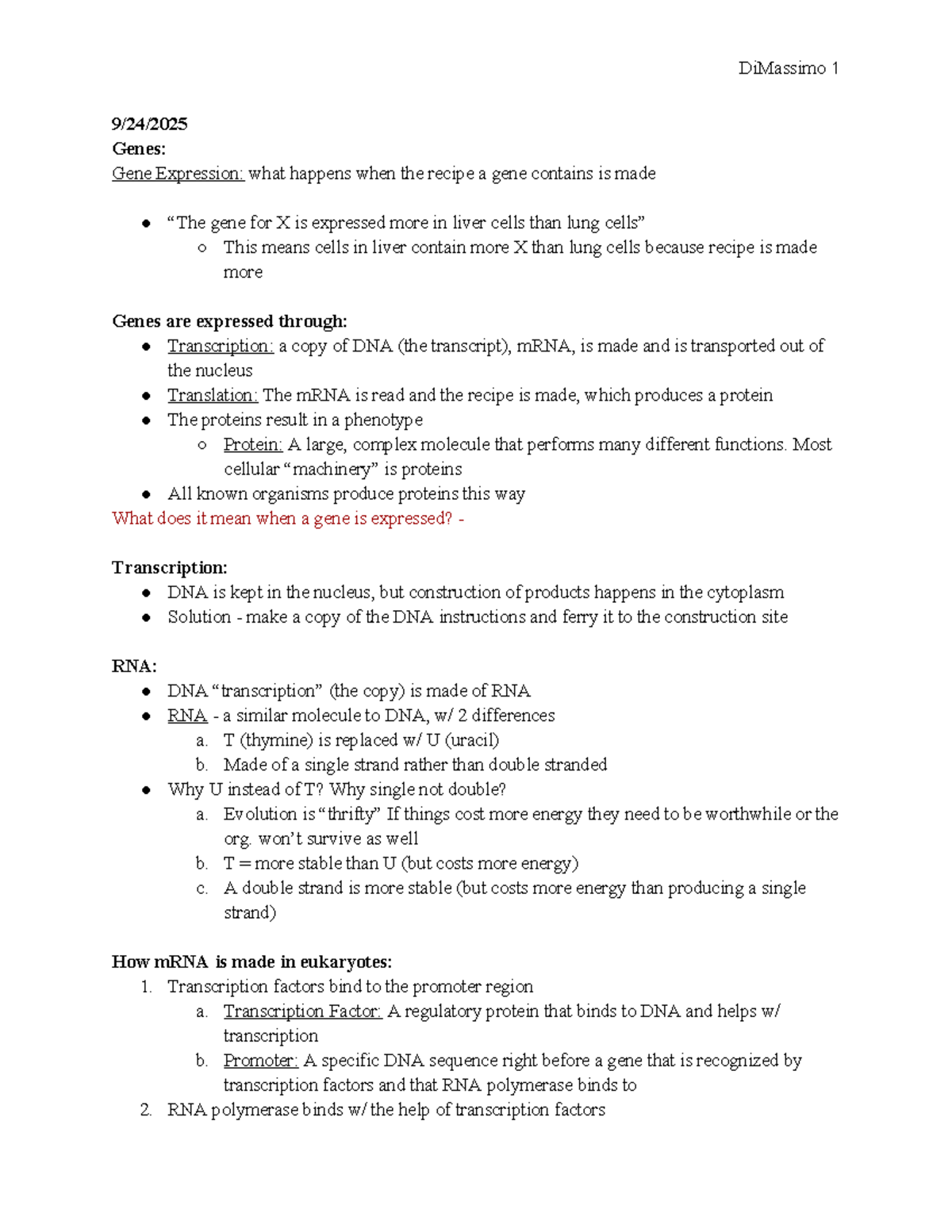 Gene Expression and Protein Synthesis: Transcription to Translation ...