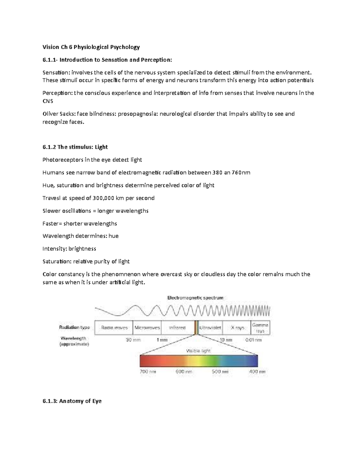 Vision Ch 6 Physio Psych - Vision Ch 6 Physiological Psychology 6.1 ...