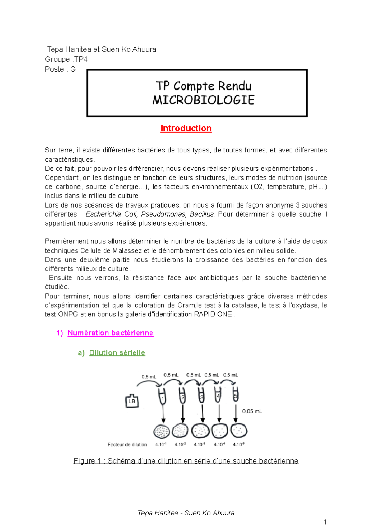 TP Compte Rendu: Numération Bactérienne, Antibiogramme et ...