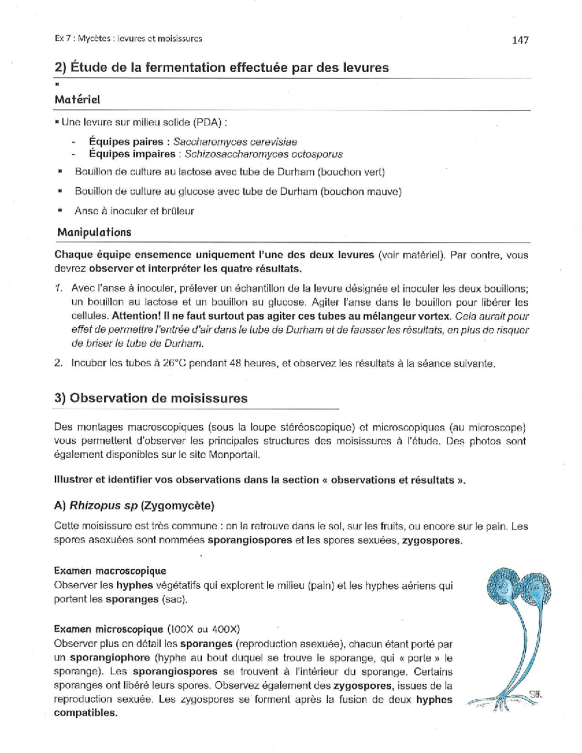 BIO-1003 : Cahier de laboratoire sur les Mycètes et Virus - Studocu