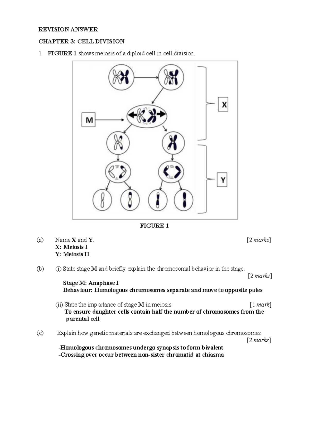 Revision Notes for SB015: Cell Division and Genetic Inheritance - Studocu