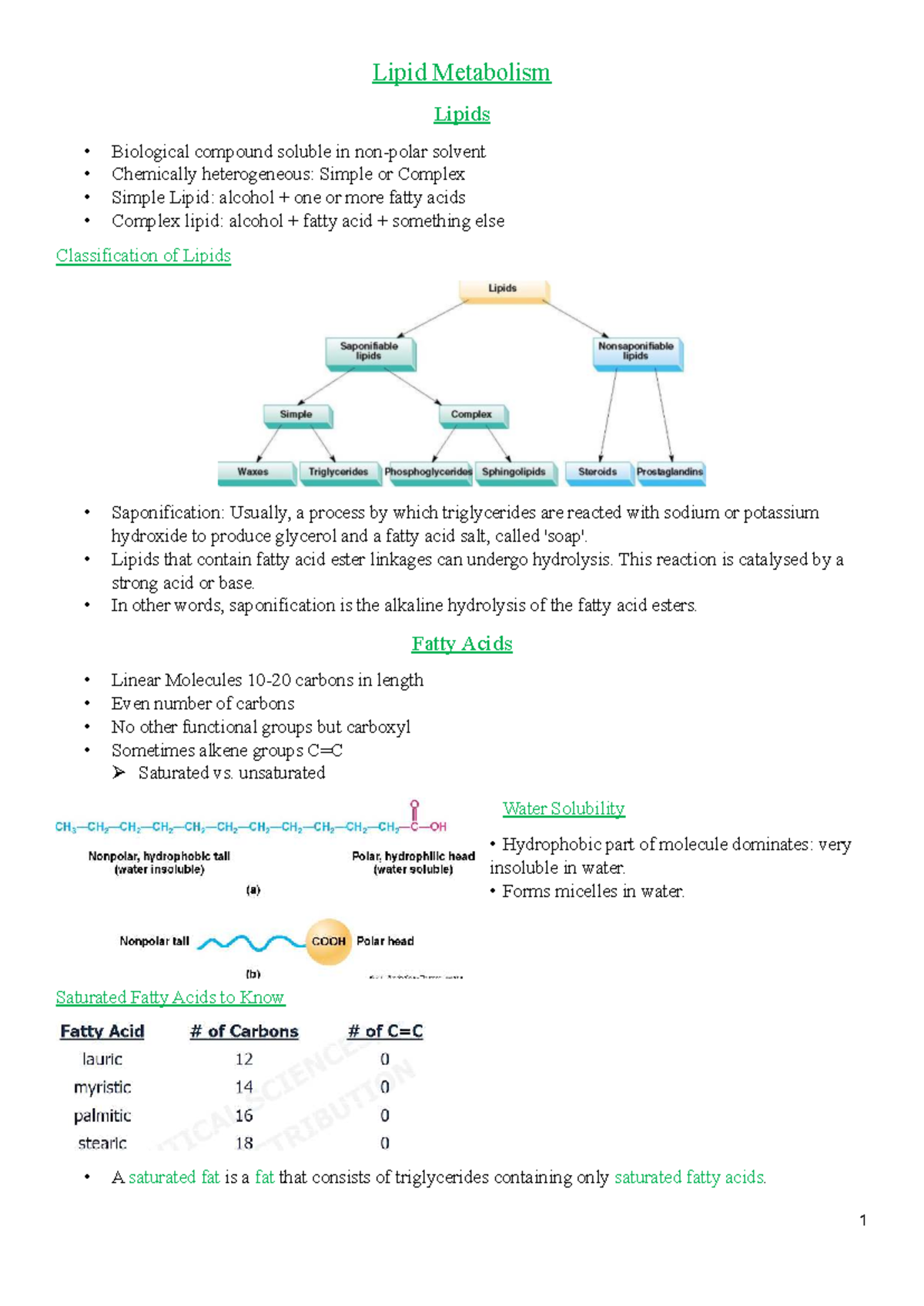 Lipid Metabolism (BIO 101) - Comprehensive Study Notes - Studocu