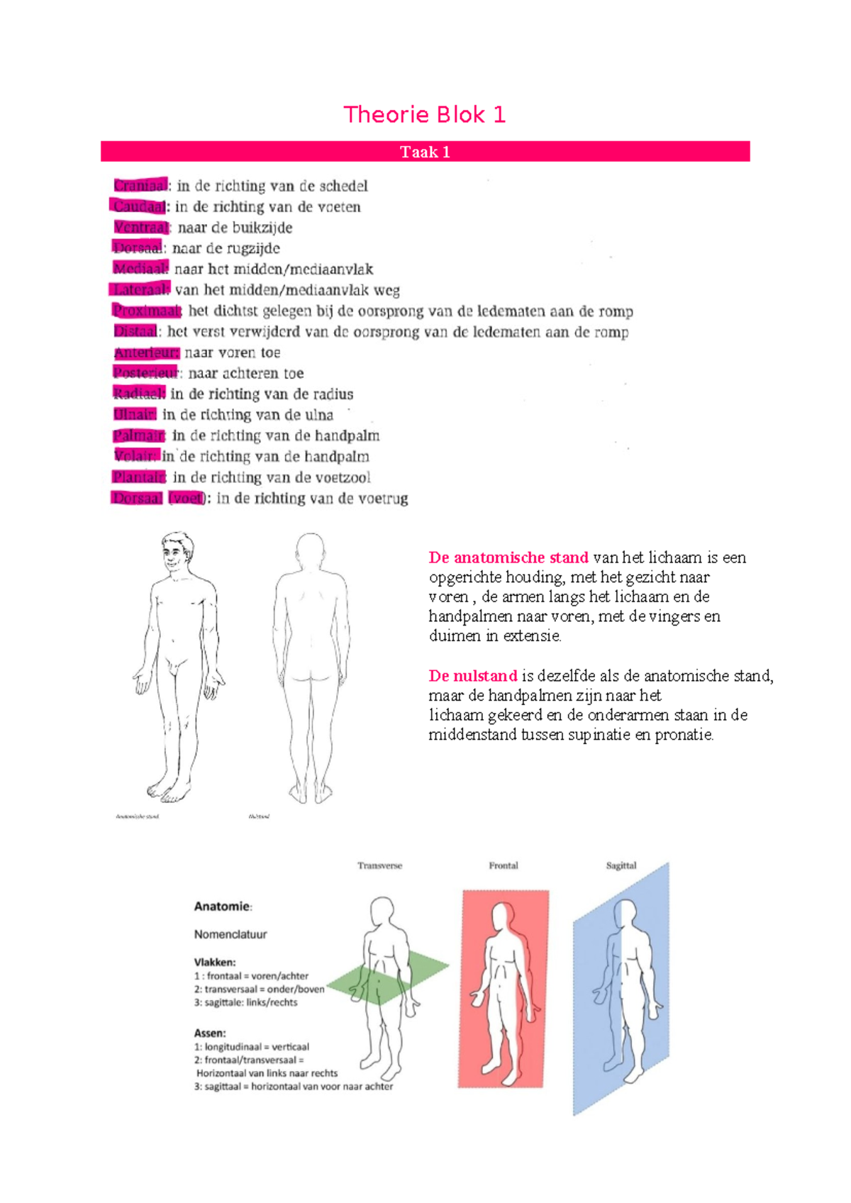 Samenvatting Theorie Blok 1 voor Fysiotherapie - KNGF Richtlijnen ...