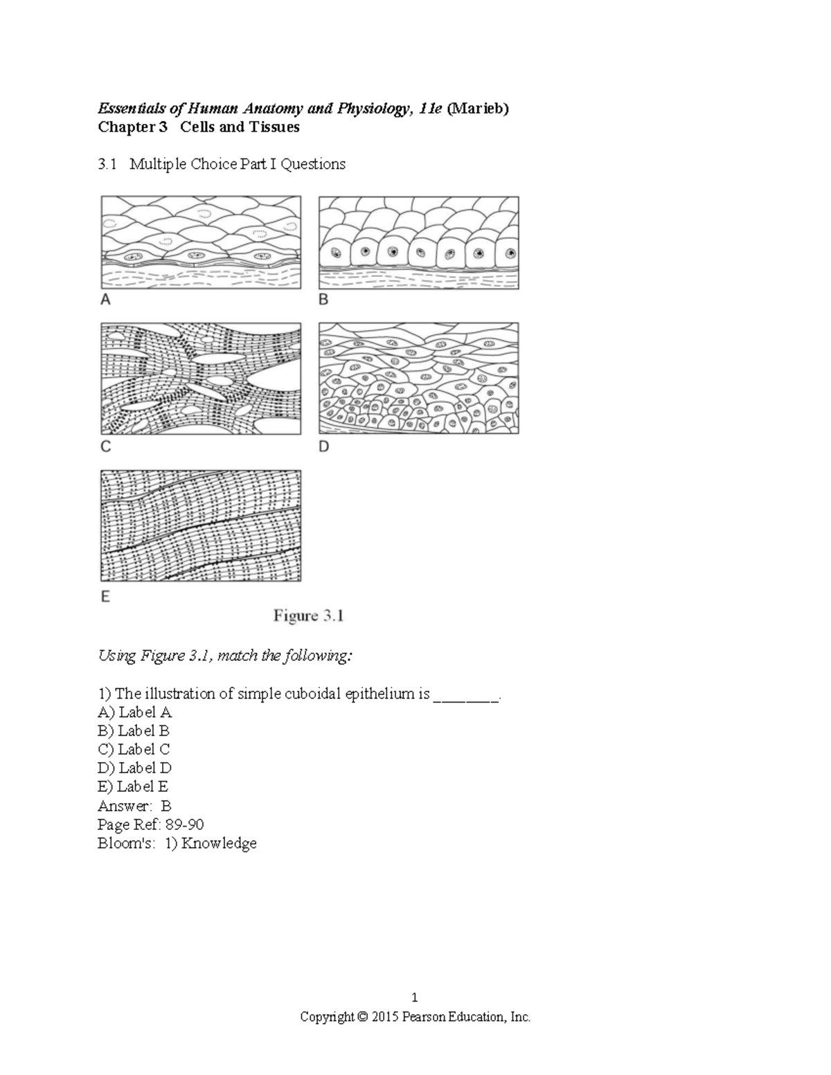 Chapter 3 Test Bank: Cells and Tissues MCQs from Essentials of Human ...