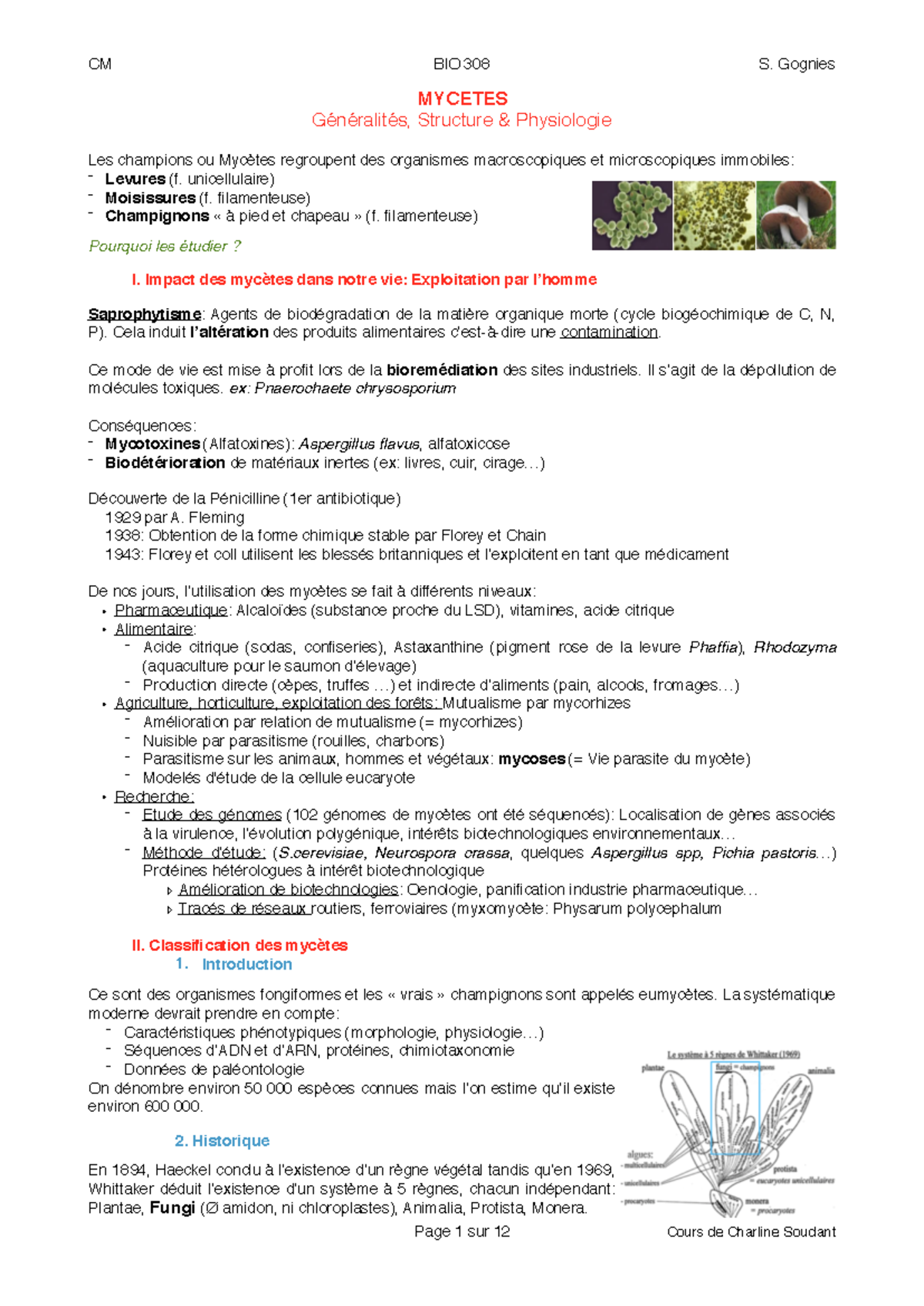 Mycètes - cours - CM BIO 308 S. Gognies MYCETES Généralités, Structure ...