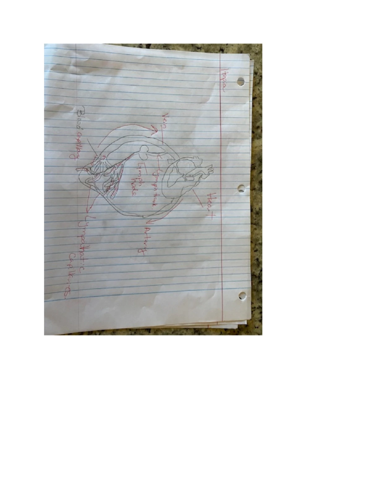 Module 01 Lab 2112024: Coding Systems Exploration and Practice - Studocu