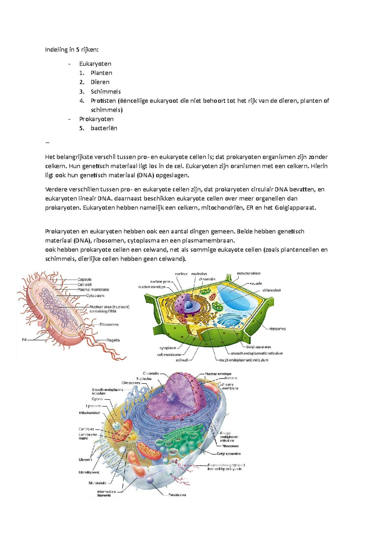 Aantekeningen W2 Biochemie: Eukaryoten vs Prokaryoten en Celonderdelen ...