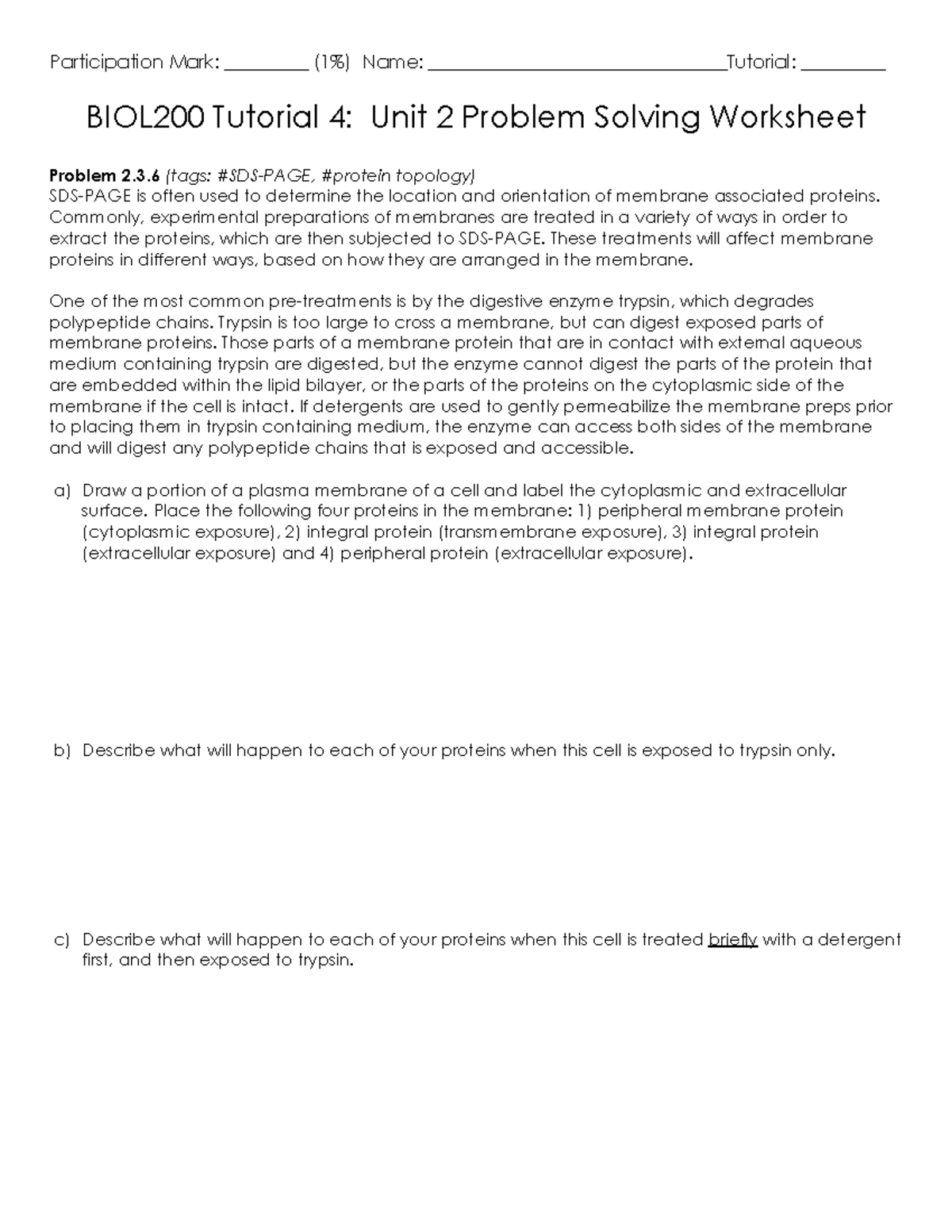 Tutorial 4 worksheet - very informative - Participation Mark ...