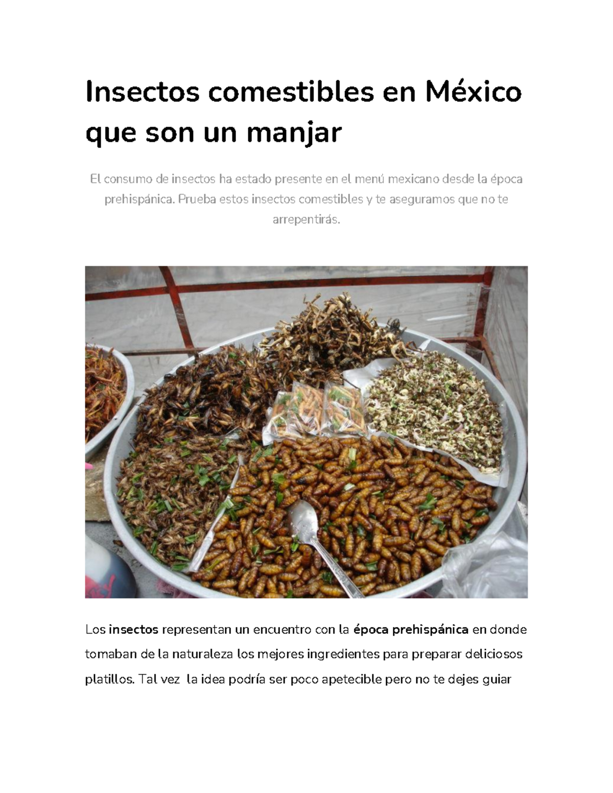 Insectos Mexicanos Un Manjar Nutritivo Turimexico Insectos, Manjares