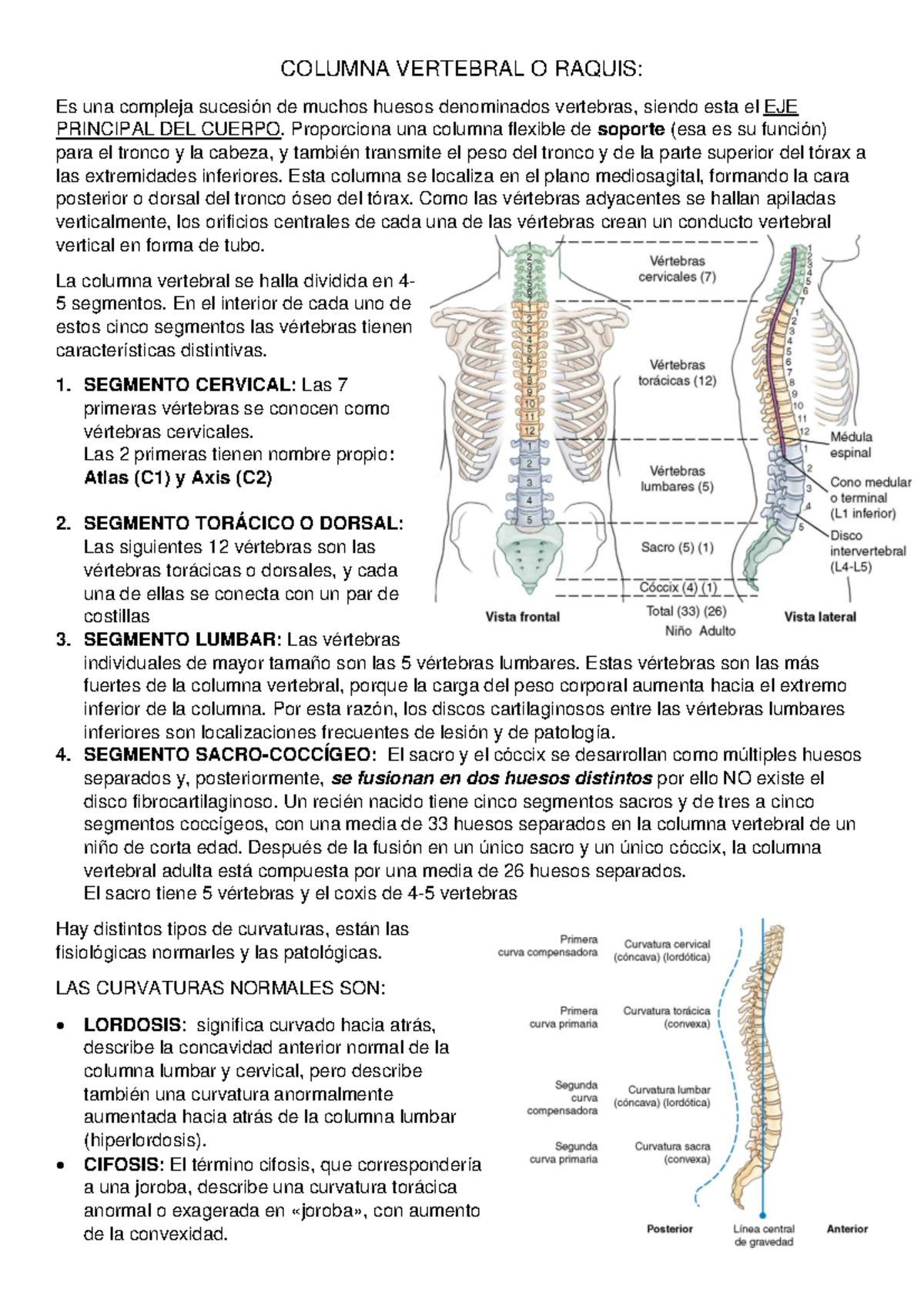 Proyecciones de Columna Cervical: Técnicas y Detalles Esenciales - Studocu
