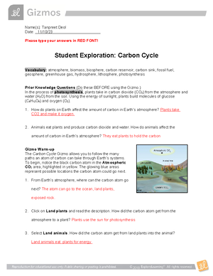 ECOS 3.4: Cycling of Matter and Energy in Ecosystems and Succession ...