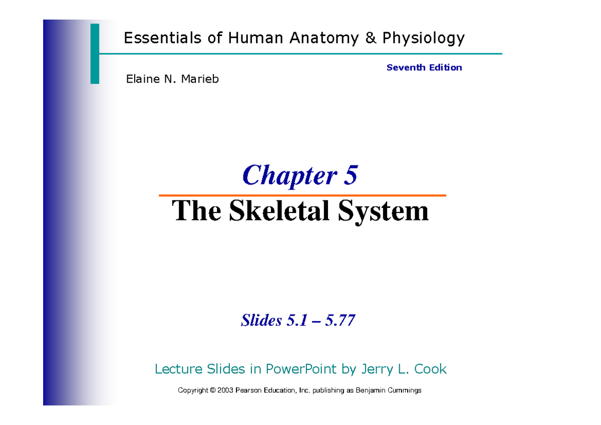 Chapter 5: The Skeletal System - Essentials of Human Anatomy ...