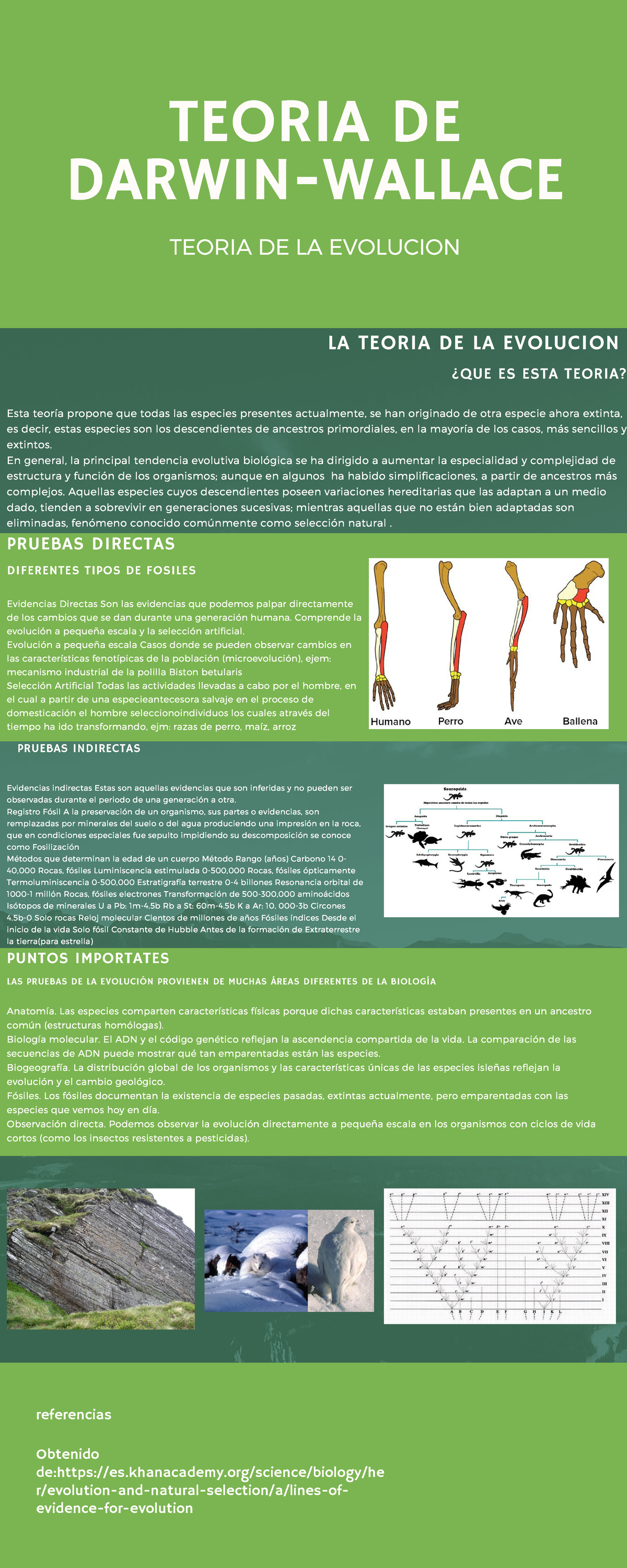 Piñón Fernández Emmanuel-401 - TEORIA DE DARWIN-WALLACE TEORIA DE LA ...