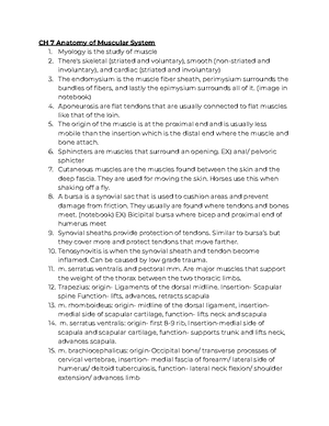 Greek Mythology Final - Professor Anthony Tuck - Deprecated API usage ...