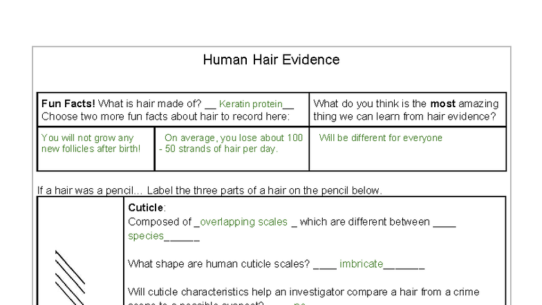 KEY Notes: Human Hair Evidence (Forensic Science) - Studocu