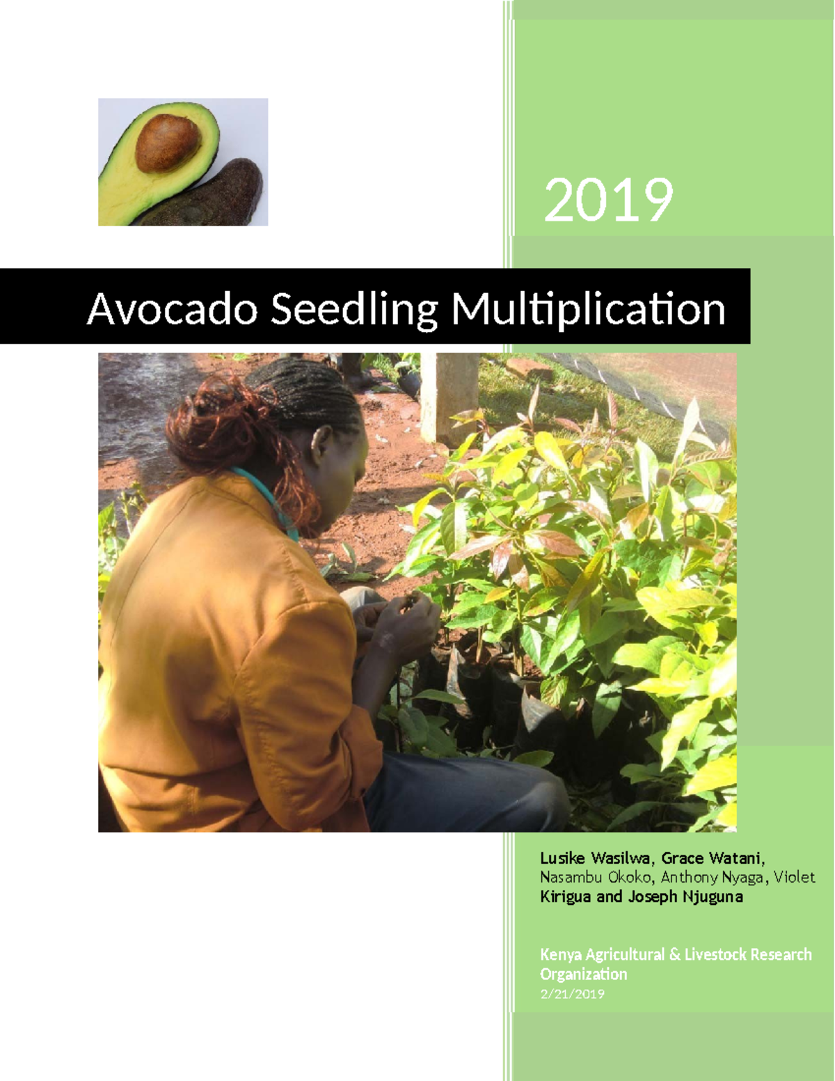 Avocado Seedling Multiplication Techniques - AVOC 2019 - Studocu