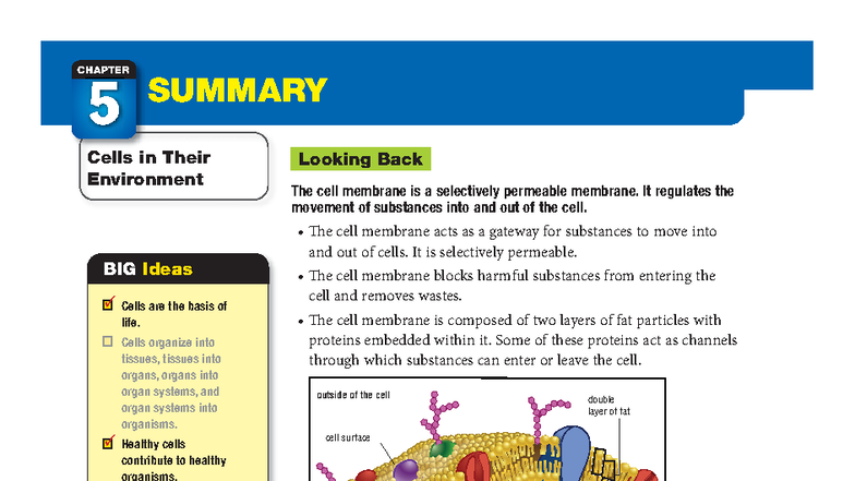 CHAPTER 5 SUMMARY: Cells in Their Environment (Sci8) - Studocu