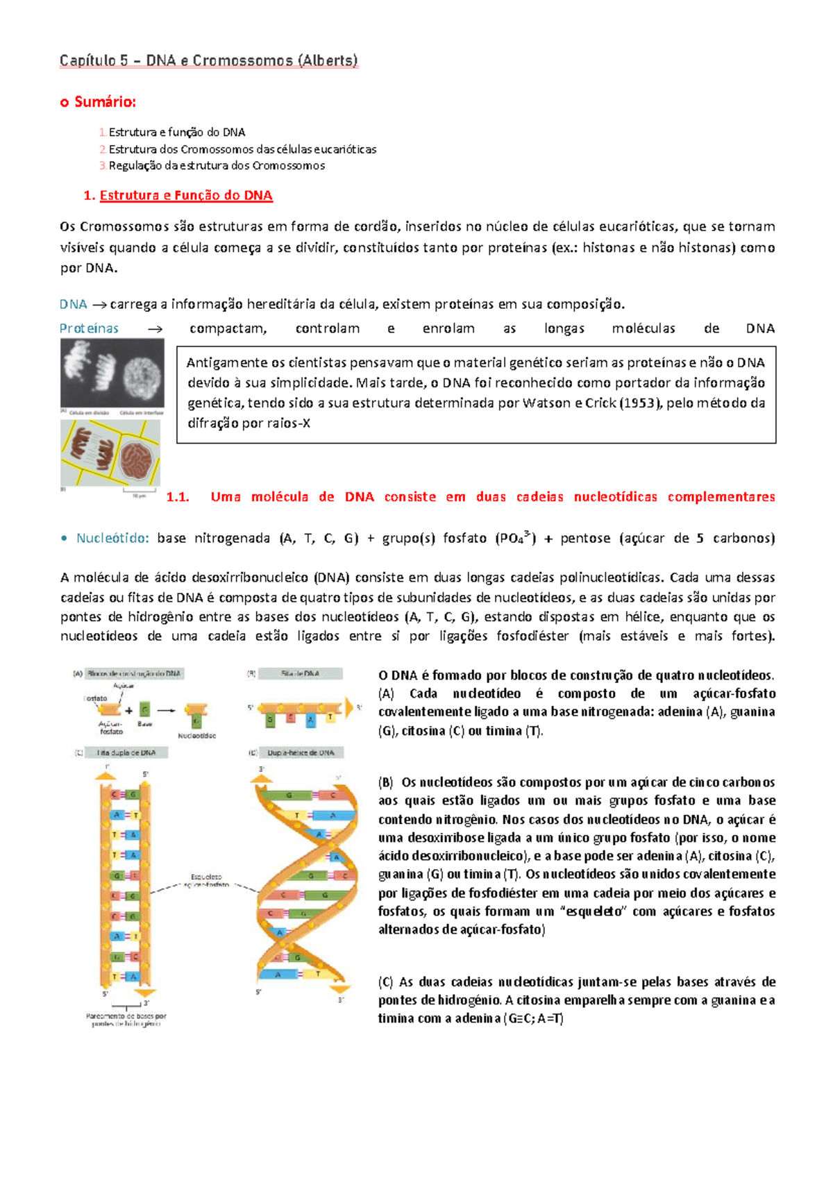 Resumo - Capítulo 5: Estrutura e Função do DNA e Cromossomos (Biologia ...