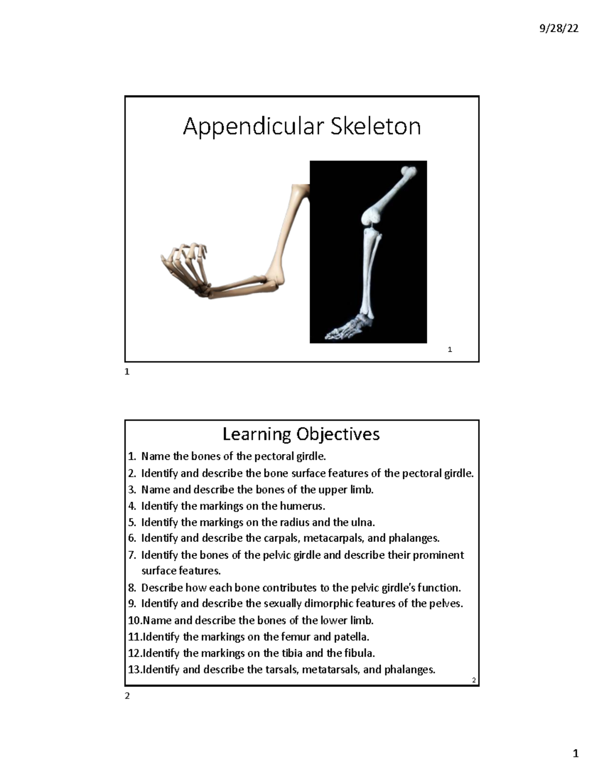 Appendicular Skeleton Overview: Lecture 8 Notes (BIO 101) - Studocu