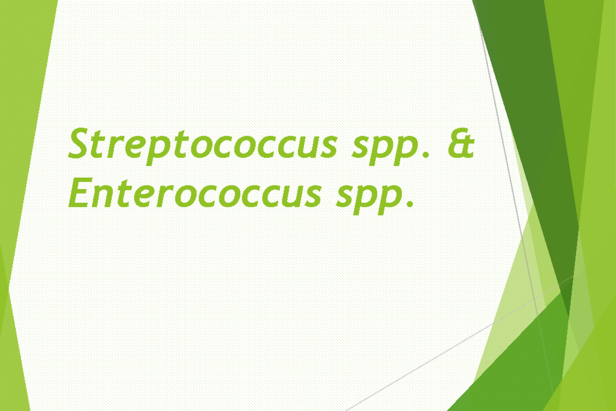 Clinically Significant Streptococci & Associated Diseases (BIO 101 ...
