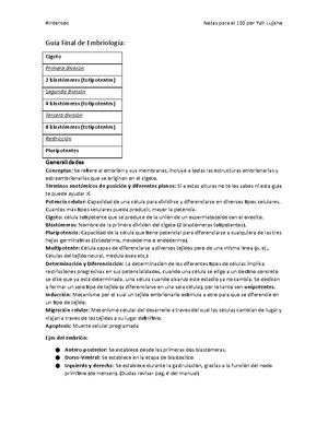 Gametogénesis - Apuntes - Gametogénesis y Células germinales ...
