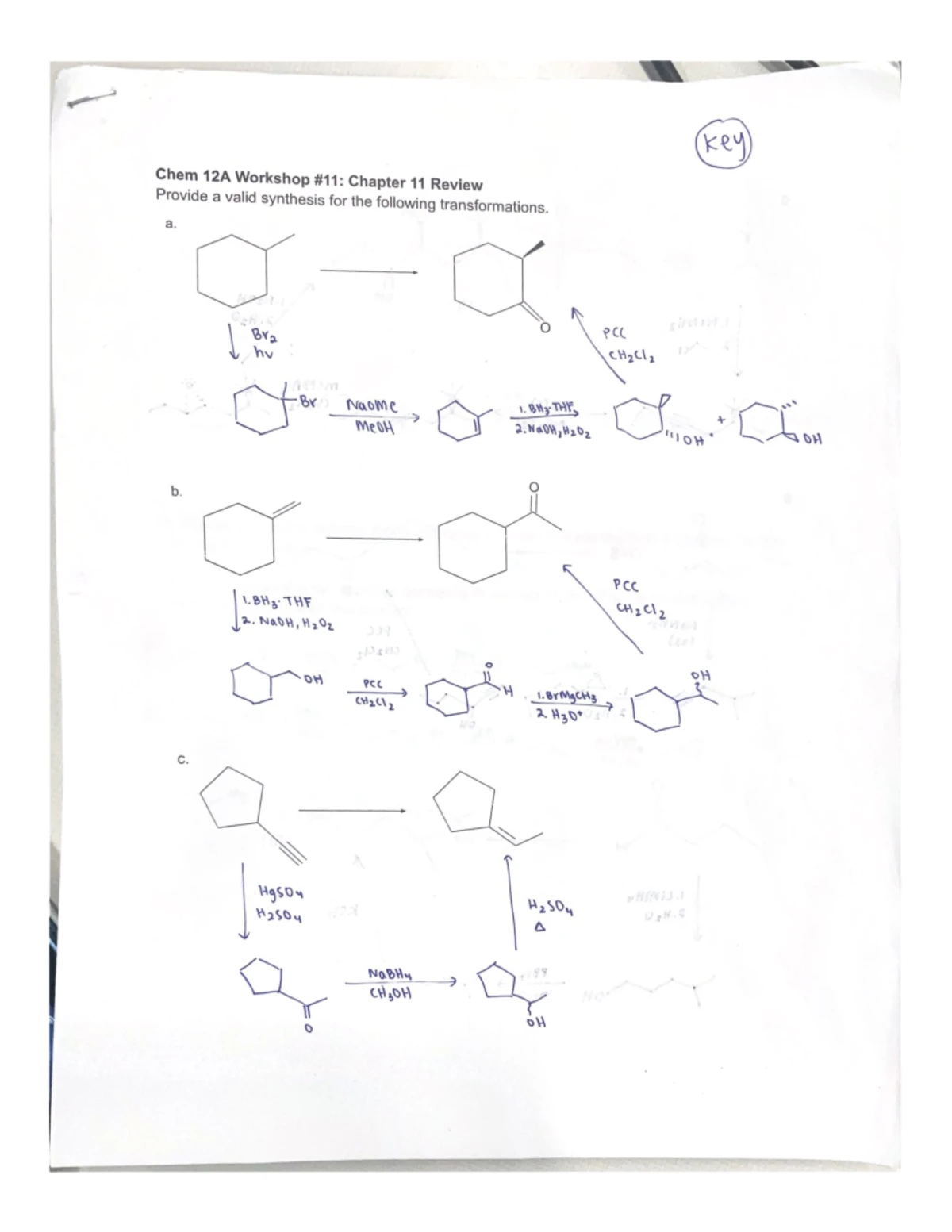 Finals Review - Ochem 1 final exam study guide and worksheet with ...