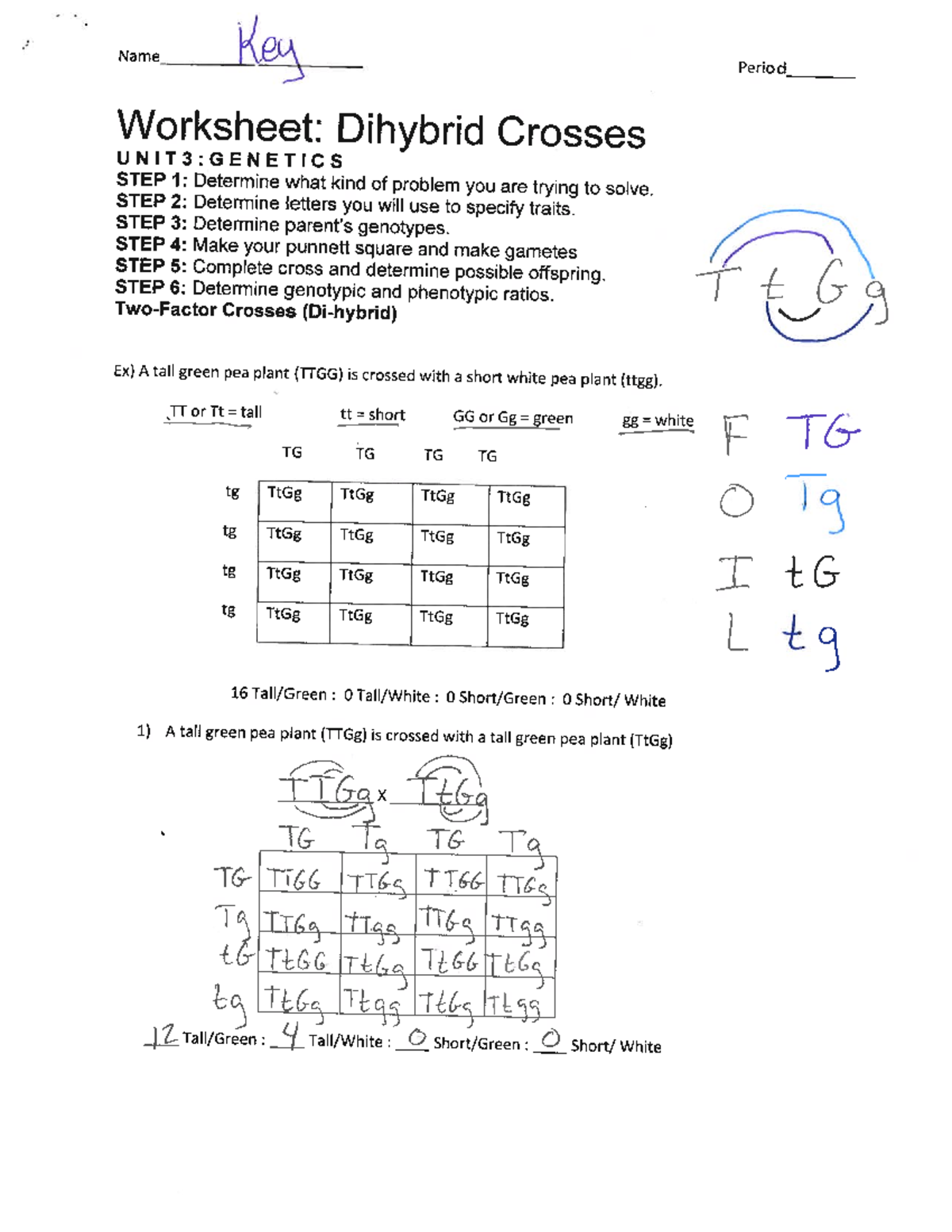 Dihybrid practice ws answer key - Name Key Period Worksheet: Dihybrid ...