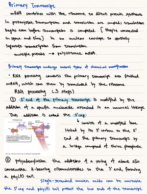 BIO Chapter 16 Flashcards Quizlet - BIO: CHAPTER 16 4 (2 reviews ...