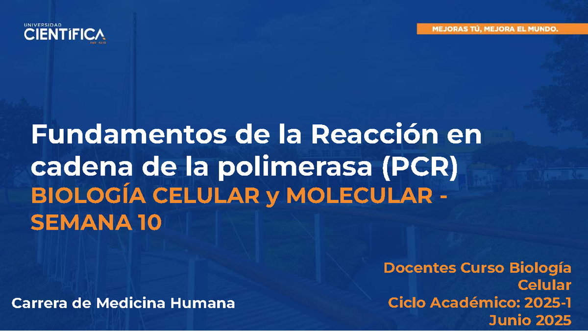 Fundamentos de la Reacción en Cadena de la Polimerasa (PCR) - BIOLOGÍA ...