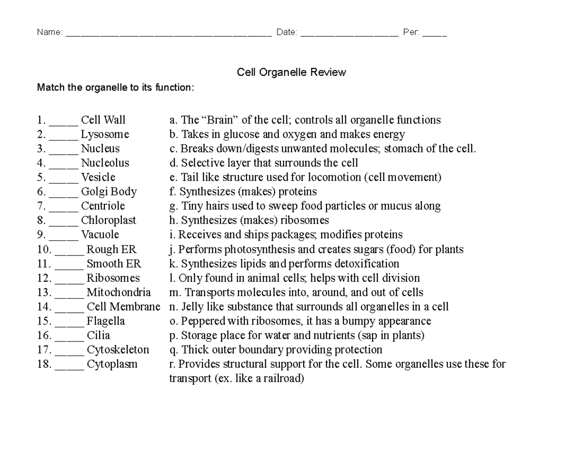 Cell Organelle Function Matching Worksheet 2022 - Studocu