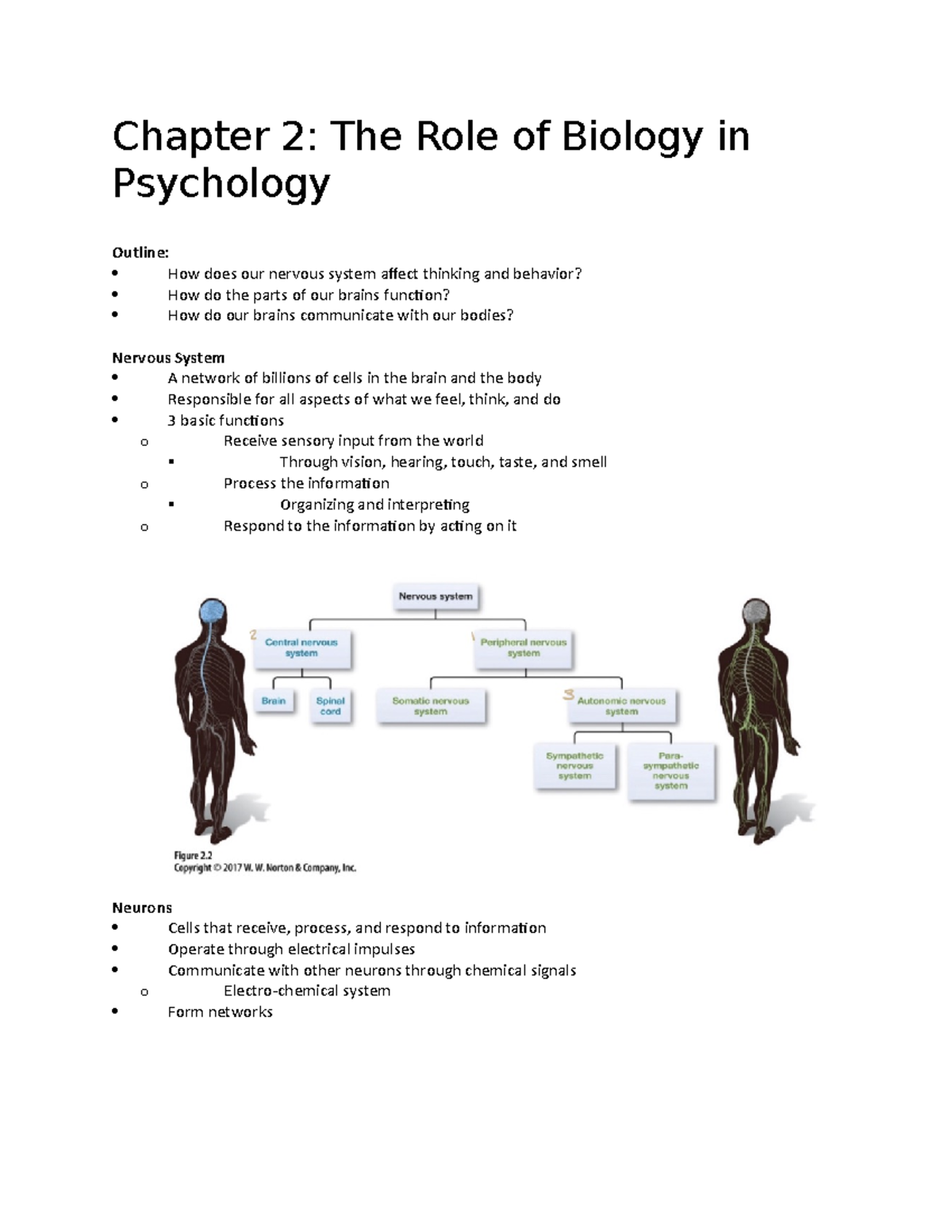 Chapter 2 Lecture Notes: Exploring Biology's Role in Psychology - Studocu