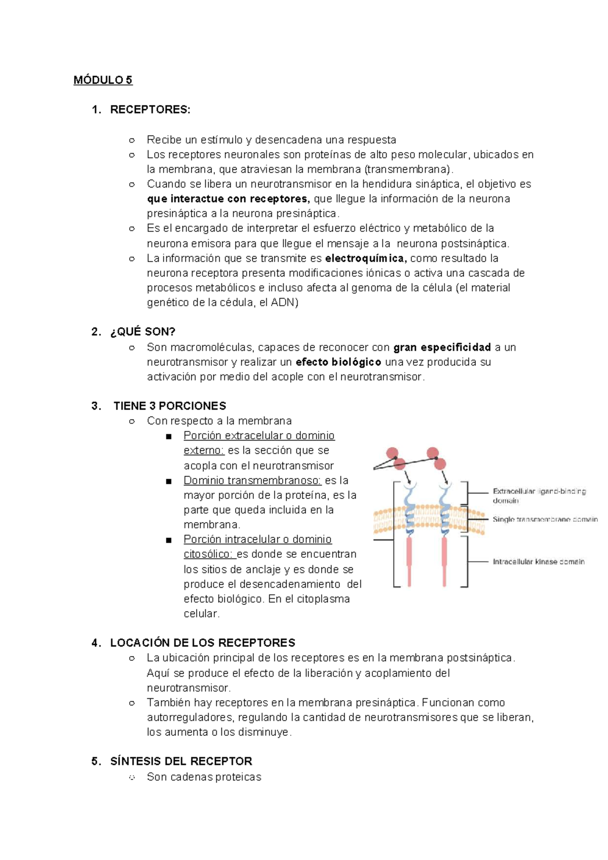 Módulo 5: Receptores Neuronales y su Función en la Sinapsis - Studocu