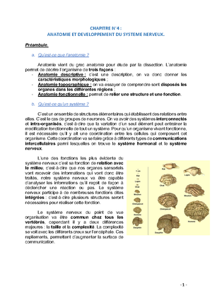 Chapitre N°2 - La première et seconde topique de Freud - CHAPITRE N°2 ...