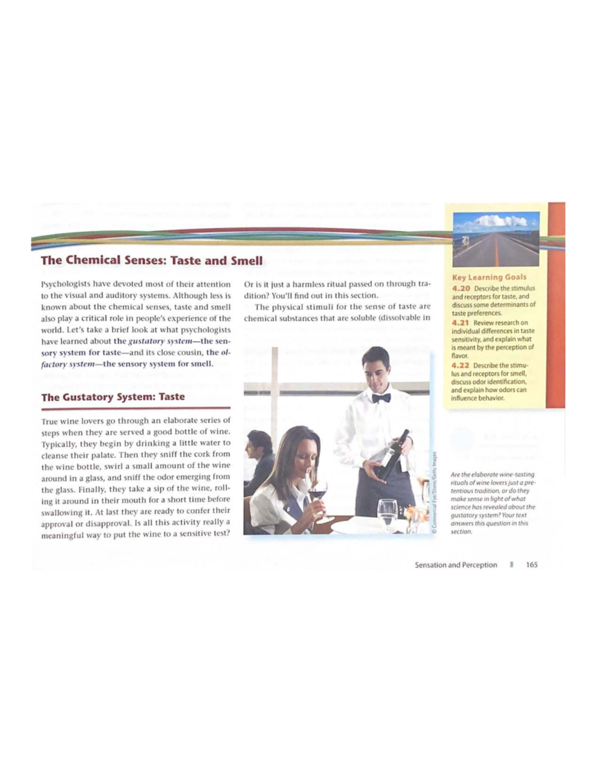 The Chemical Senses: Understanding Taste and Smell Functions (PSY 4.20 ...