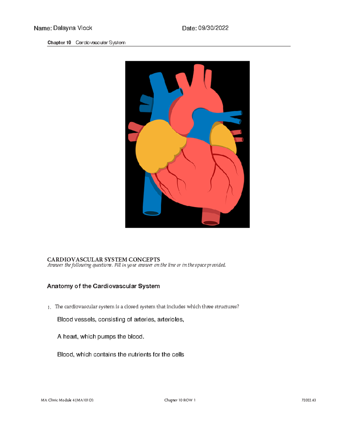MA101 D ROW 1 Chapter 10 Cardiovascular System Overview - Studocu