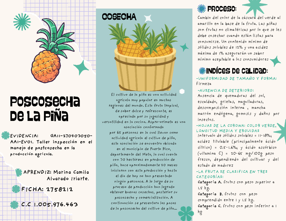 Taller de Inspección de Poscosecha en Producción de Piña - GA11-270403050-AA1-EV01 - Studocu