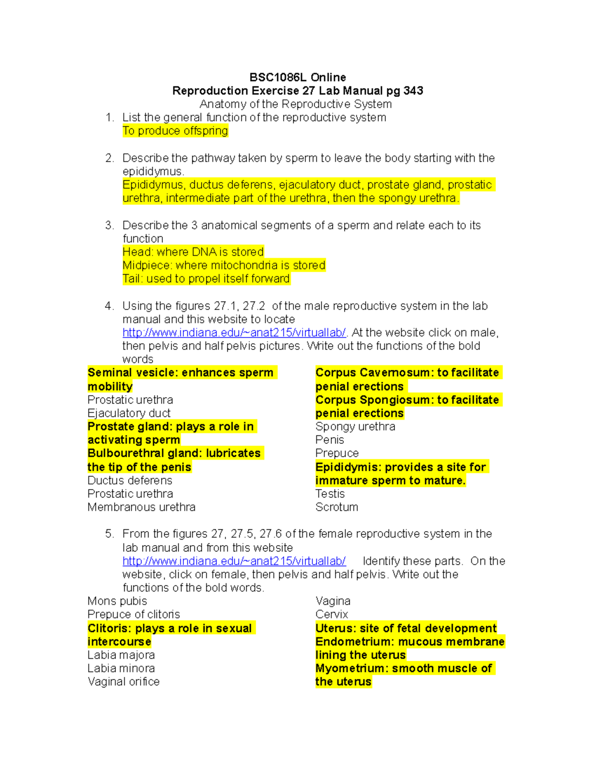 Ap2 ex 27 reproduction system - BSC1086L Online Reproduction Exercise ...