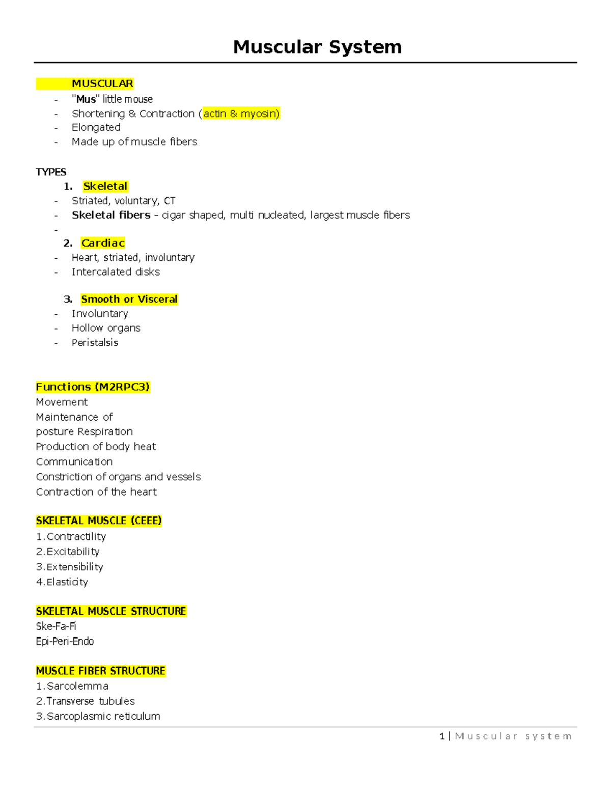 Muscular System Overview and Key Concepts (MUSCULAR) - Studocu