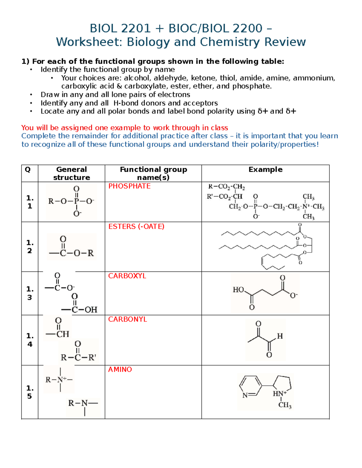 BIOL 2201 In-Class Worksheet: Biology & Chemistry Functional Groups ...