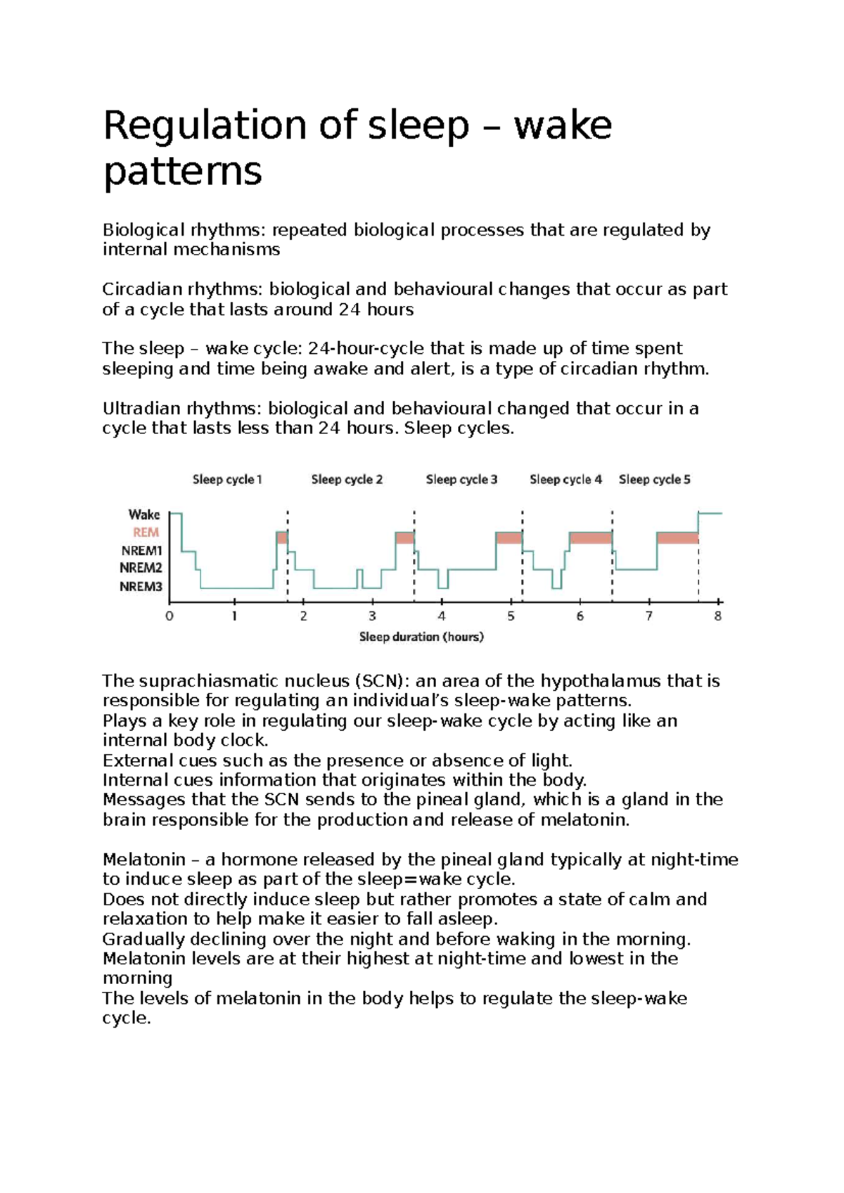 Regulation of Sleep: 6C Class Notes on Biological Rhythms - Studocu