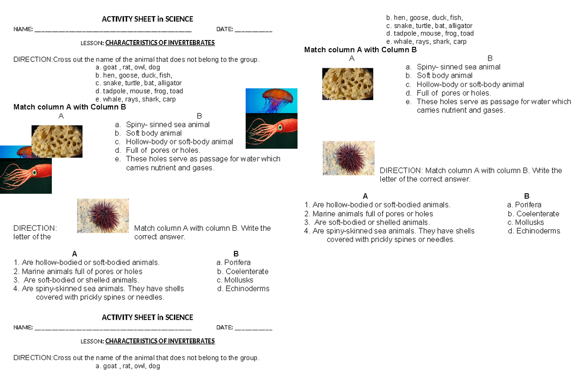 Activity Sheet in Science: Characteristics of Invertebrates (1) - Studocu