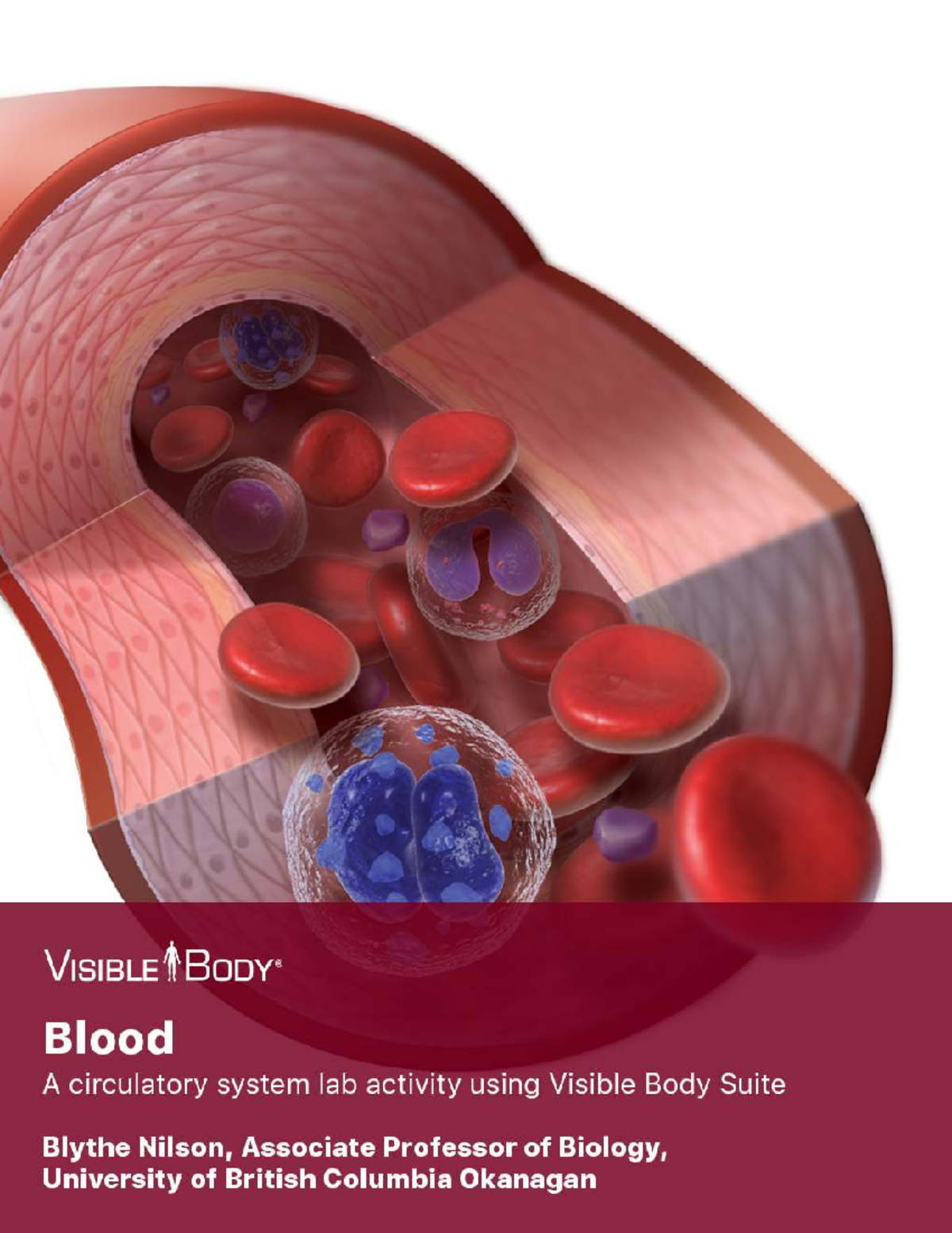 Lab Manual: Blood A&P - Circulatory System Activities (VB Suite) - Studocu
