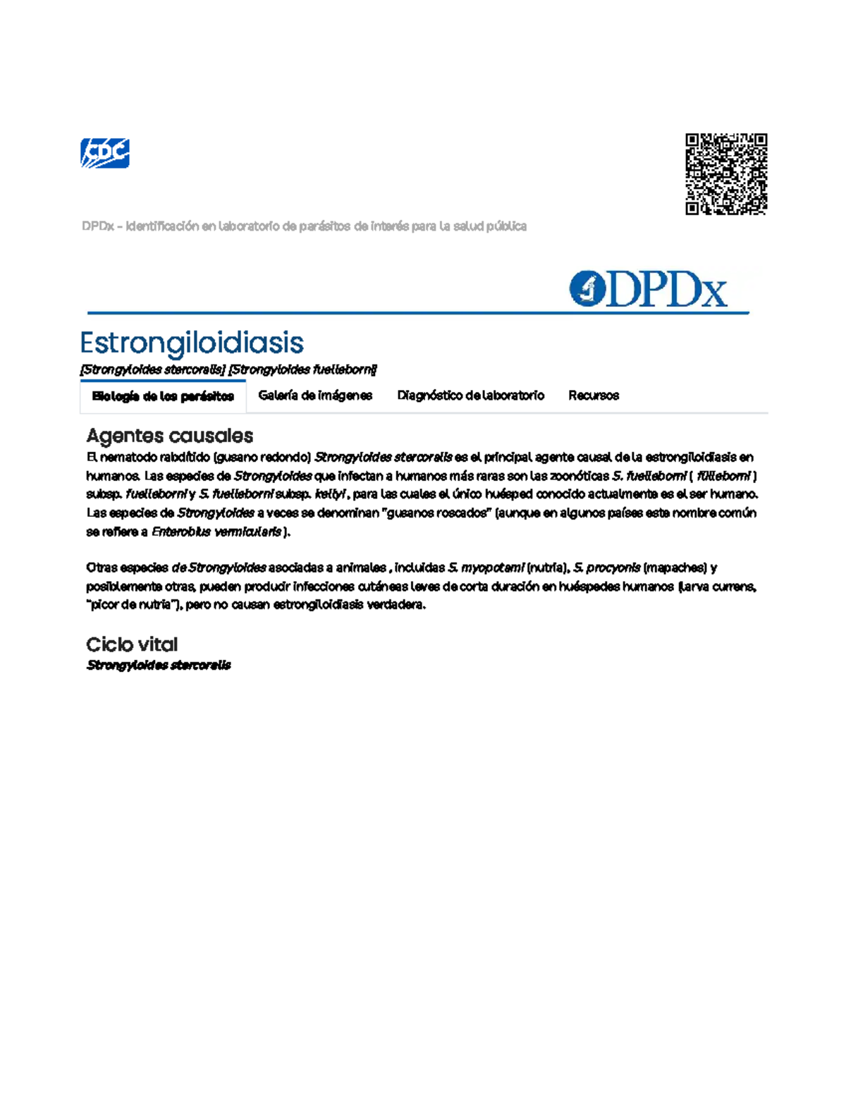 CDC - DPDx - Estrongiloidiasis - DPDx - Identificación en laboratorio ...